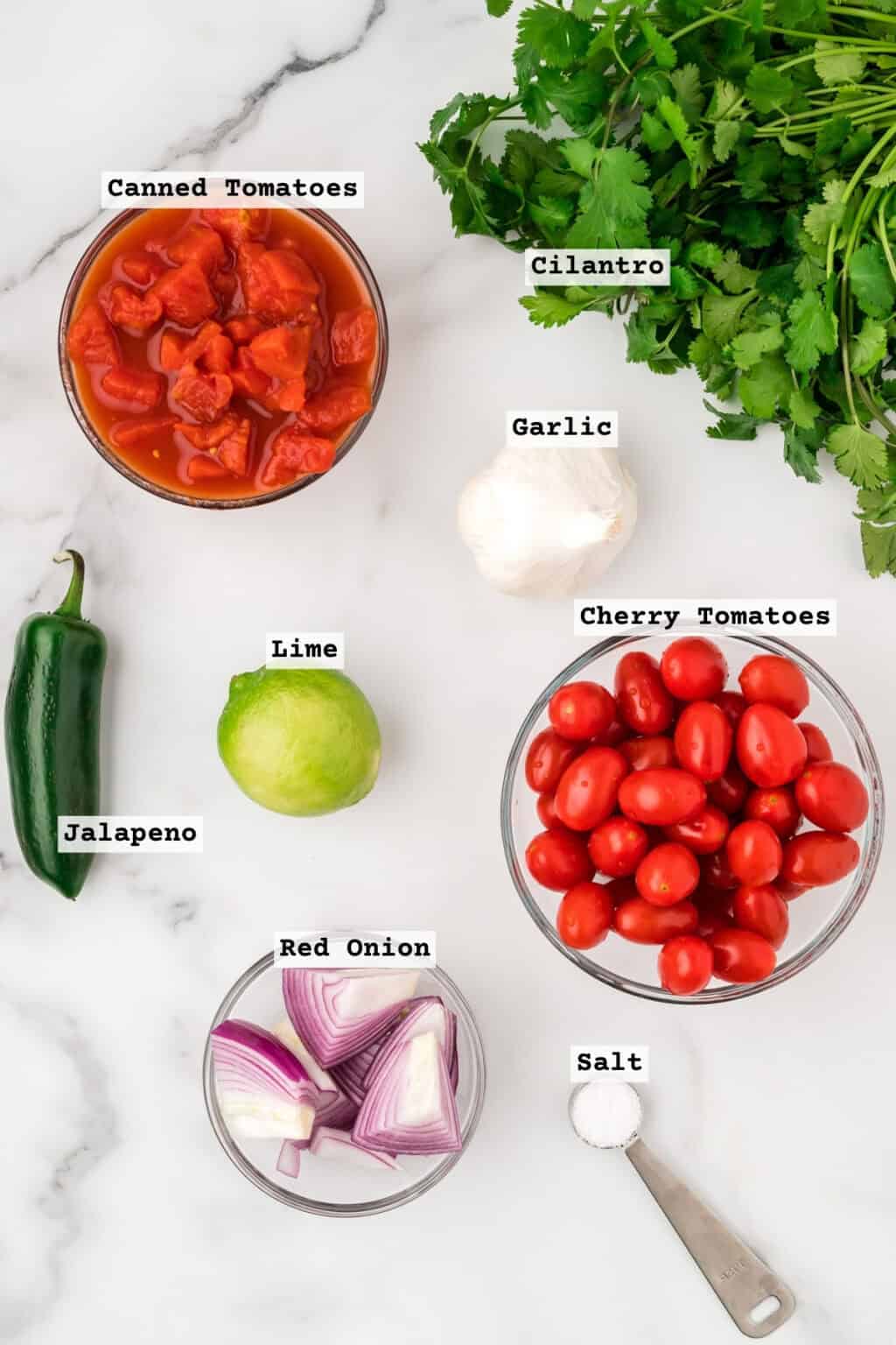 5 Minute Cherry Tomato Salsa - Well Fed Baker