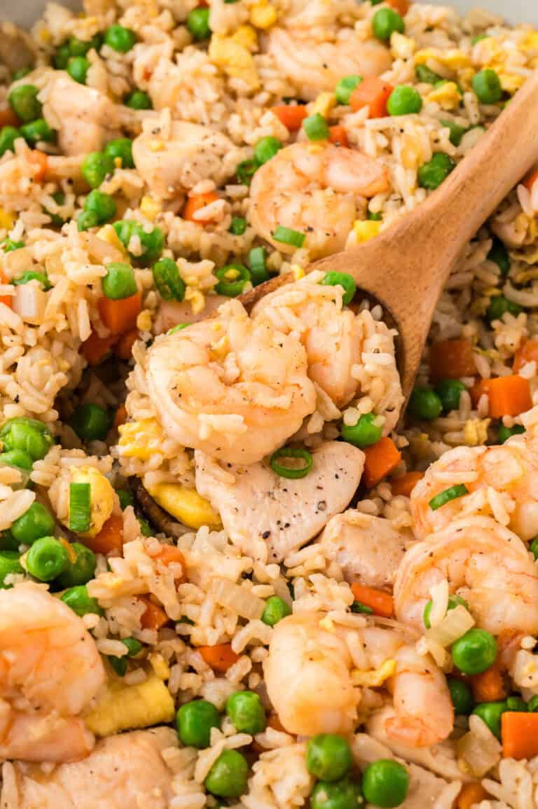 Shrimp and Chicken Fried Rice - Well Fed Baker